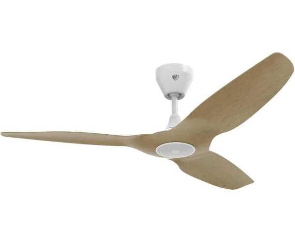11 Most Expensive Ceiling Fans With Light 2025 - The Fans Pro